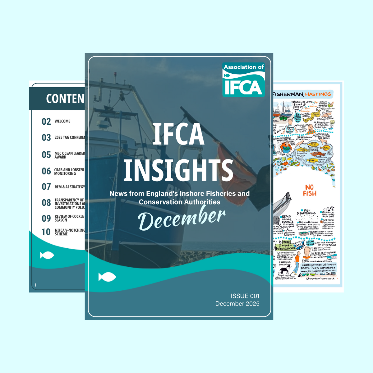 IFCA Insights - NIFCA
